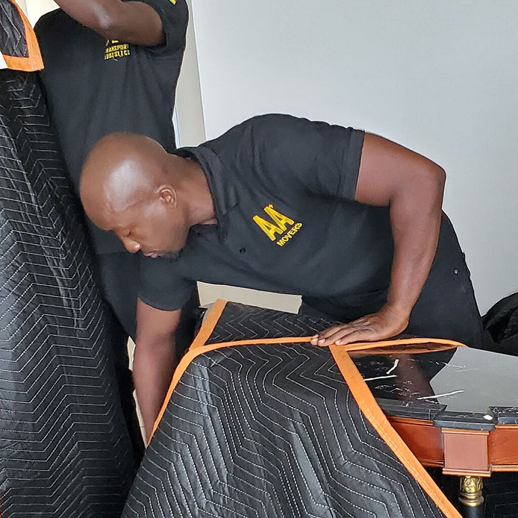 Professional Moving Services in Ghana | AA+ Movers